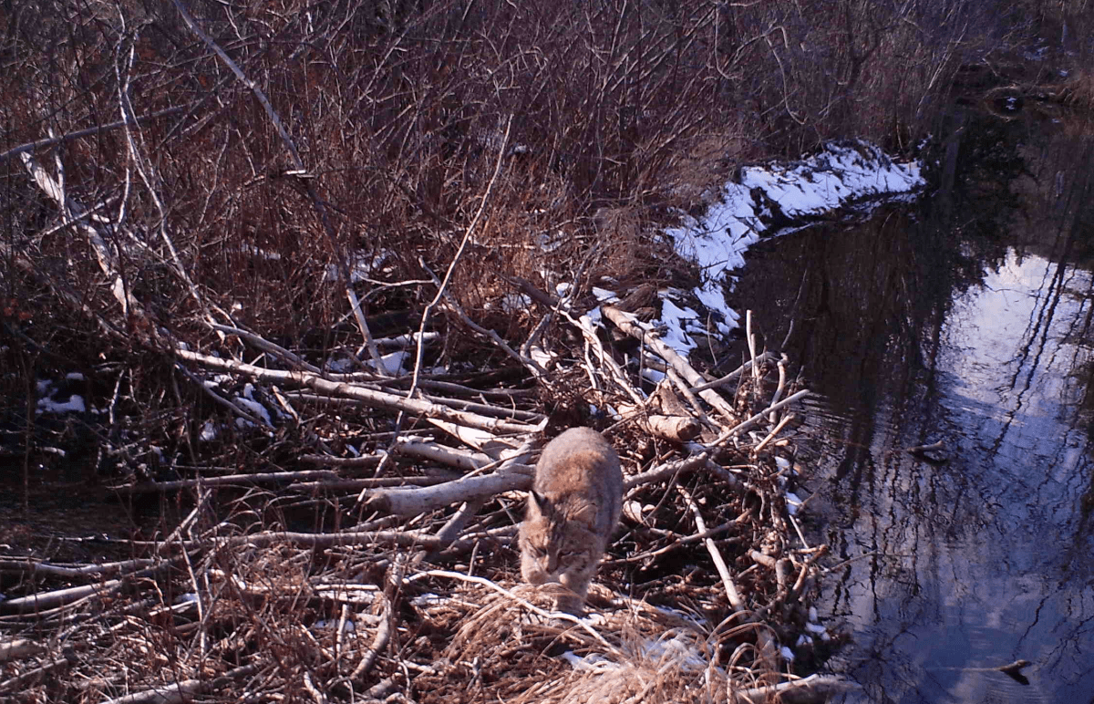 Photo Gallery – Francis Small Heritage Trust, Inc.