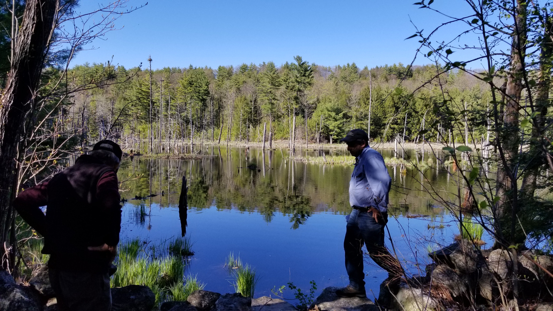 Current Projects – Francis Small Heritage Trust, Inc.