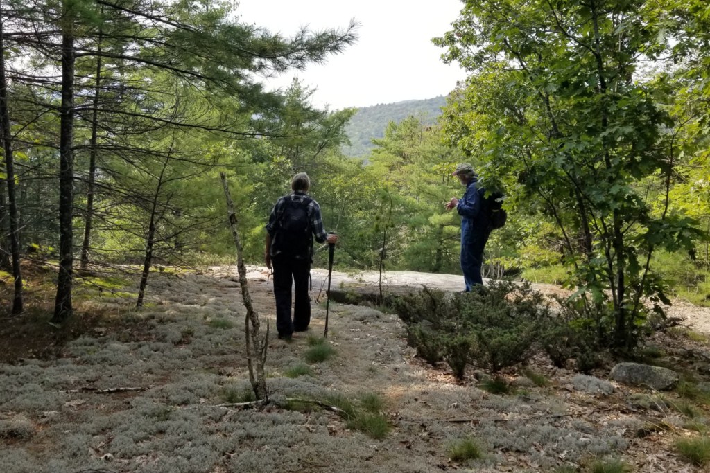 Francis Small Heritage Trust, Inc. – Caring for land and a way of life ...